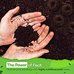 Seed Starter Peat Pellets for Gardening – Plant Seed Starter Pods for Planting Veggies, Flower Seeds, and Herb Garden Cuttings – Peat Moss Garden Starter Soil Pellets by Home Grown (36mm, 100count)
