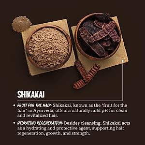 AyurVita Shikakai Restorative Leave-In Conditioner - Herbal Remedy For Dry Scalp and Strands - Moisturizing, Scalp-Cooling Spray - Planet-Friendly, Bio-Sourced Formula and Packaging - 5 Oz