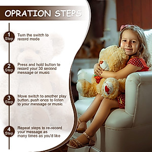 3 Pcs Voice Recorder for Stuffed Animal, Voice Recorder Box Stuffed Bear Mini Voice Recorder Device, DIY Custom Voice Message Toy Voice Recorder for Baby Dolls, Plush Toys and Pillows (20s Edition)