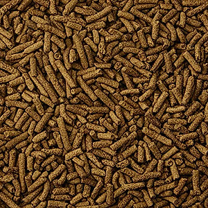 Kaytee Fortified Premium Pet Ferret Food Grain Free & Gluten Free with Chicken, 4 Pound