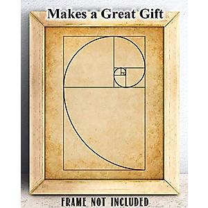 Fibonacci Spiral - 11x14 Unframed Art Print - Makes a Great Gift Under $15 for Artists