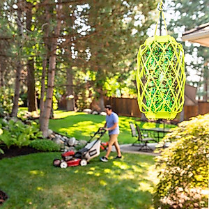 RESCUE Insect Trap 1 pk6