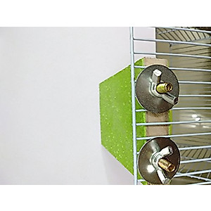 Hypeety Colorful Bird Perch Stand Platform for Parrot Macaw African Greys Budgies Parakeet Cockatiels Natural Wood Paw Grinding Clean Cage Toy (Random Color)(B)