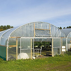 SHANGXING 2 Pack Greenhouse Clear Plastic Film-6.5 x 6.5 Ft Polyethylene Greenhouse Plant Cover Sheeting UV Resistant for Horticulture,Garden and Agriculture (2pcs)