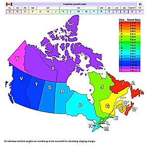 Amscan # 3 Star Decorative Pick Candles, 5" & 7", Multicolor