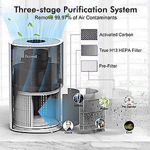 ECOWELL HEPA Air Purifier for Home Bedroom, Remove 99.97% Dust Pollen Odors Pet Dander, Large Room Air Purifiers for Office Desk Kitchen Living Room, EAP250W, White, 8.6 x 8.6 x 14.17 inch