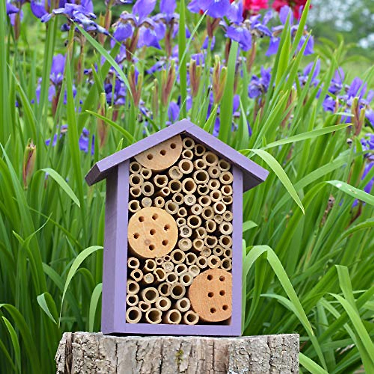 Nature's Way Bird Products PWH1-B Purple Bee House