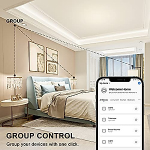 IBRIGHT Smart Plug, High Security with Overload Protection, Smart Wi-Fi Outlet Compatible with Alexa, Google Assistant and IFTTT, APP Remote Control &Timer Function, 15AMP (2.4Ghz Wi-Fi Only, 2 Pack)