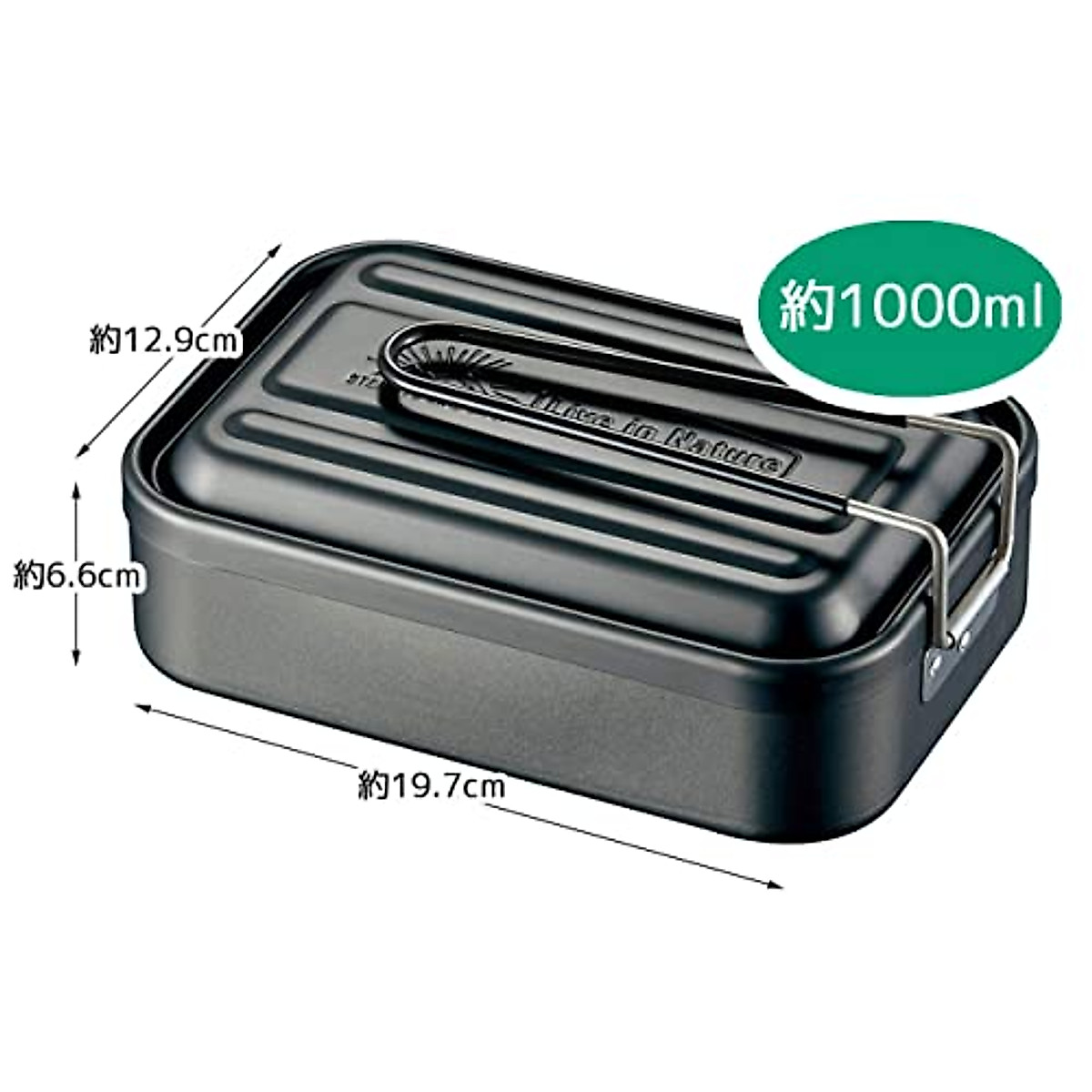 Skater AFTM10N-A Mestin, No Seasoning Required, Rice Rice, Rice, 33.8 fl oz (1,000 ml), Live in Net