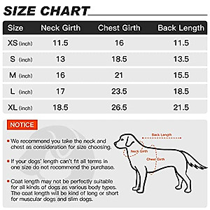 DILLYBUD Winter Dog Raincoat Jacket, Waterproof Windproof Hooded Slicker Poncho with Fleece Liner and Leash Hole for Small to X-Large Dogs and Puppies Boys Girls Dog Clothes for Cold Days,Red S