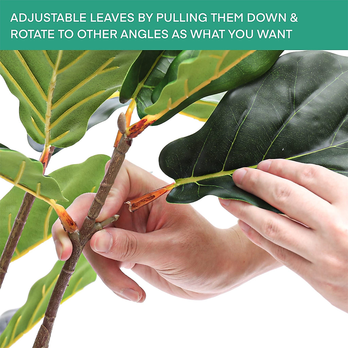 Fit Choice Fiddle Artificial Tree 5.33 Ft Fiddle Leaf Fig Tree with Realistic Nature Design and Durable Quality for Room, Office, Party, Garden (5.33 Ft Fiddle Leaf Fig), Green (533FIDDLE)