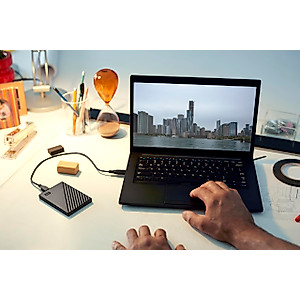 WD 1TB My Passport, Portable External Hard Drive, Black, backup software with defense against ransomware, and password protection, USB 3.1/USB 3.0 compatible - WDBYVG0010BBK-WESN