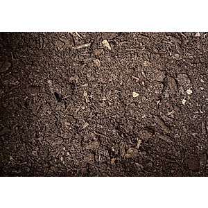 2.5 Quarts Natural Oak Leaf Mold for Acid Loving Plant, Cactus & Succulent, Bonsai Tree Soil Mix - Organic Additive