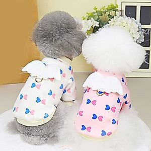 Dog Clothes for Small Dogs,Kawaii Dog Sweaters with Wing Decoration for Small Dogs Girl and Boy,Puppy Clothes Soft Warm for Winter,Autumn White M