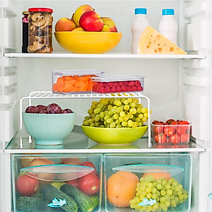 Chest Freezer Organizer Bin Expandable Wire Basket Storage, Cabinet Shelf Organizer Freezer Shelf Rack