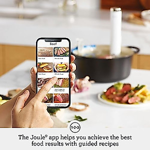 Breville the Joule Turbo Sous Vide Machine, Sous Vide Cooker, Immersion Circulators, BSV600