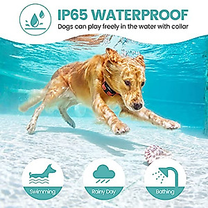 F-color Dog Training Collar with Remote 2600ft Shock Collar for Small Medium Large Dogs Breed Waterproof Dog Shock Collar for 3 Dogs with Anti-Lost Light Beep Vibration Shock