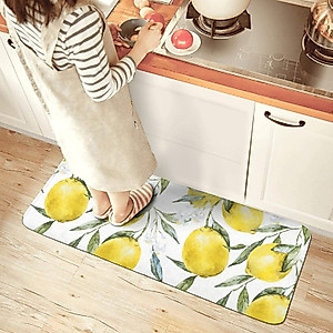 OUXIOAZ Lemon Kitchen mat Microfiber PVC Back Non-Slip Soft Area Rug for Kitchen 47.2 X 17.7 in