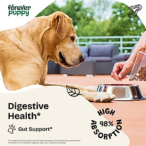 Chamomile Tincture for Dogs - Digestive Health Supplement - Chamomile Liquid Extract for Gas Relief - Gut Support Drops - Liquid Vitamins and Supplements for Pets of All Breeds & Sizes - 4 fl oz