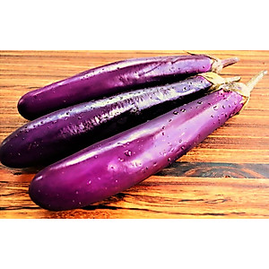 TomorrowSeeds - Chinese Eggplant Seeds - 200+ Count Packet - for 2024 Purple Shine Long Asian Aubergine Ping Tung Japanese Eggplants Brinjal
