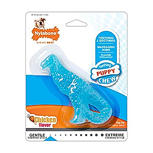 Nylabone Dental Dinosaur Puppy Chew Toy - Puppy Chew Toy for Teething - Puppy Supplies - Chicken Flavor, Small/Regular (1 Count)