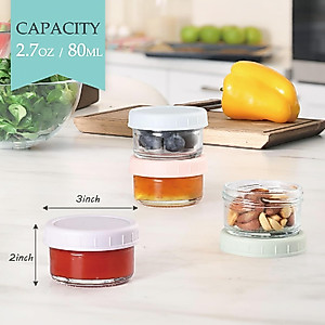 Z-synka 10-Pack Salad Dressing Containers To Go, 2.7oz Glass Small Condiment with Lids, Dipping Sauce Cups Set,Leakproof Reusable for Lunch Box Work Trip