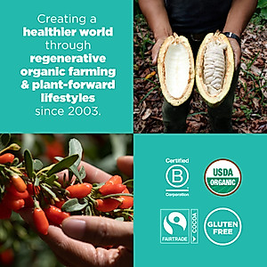 Navitas Organics Superfood Power Snacks, Cacao Goji, 8 oz. Bag, 11 Servings — Organic, Non-GMO, Gluten-Free