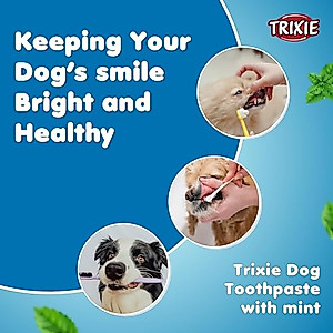 TRIXIE Mint Toothpaste for Dog, 100 G, White
