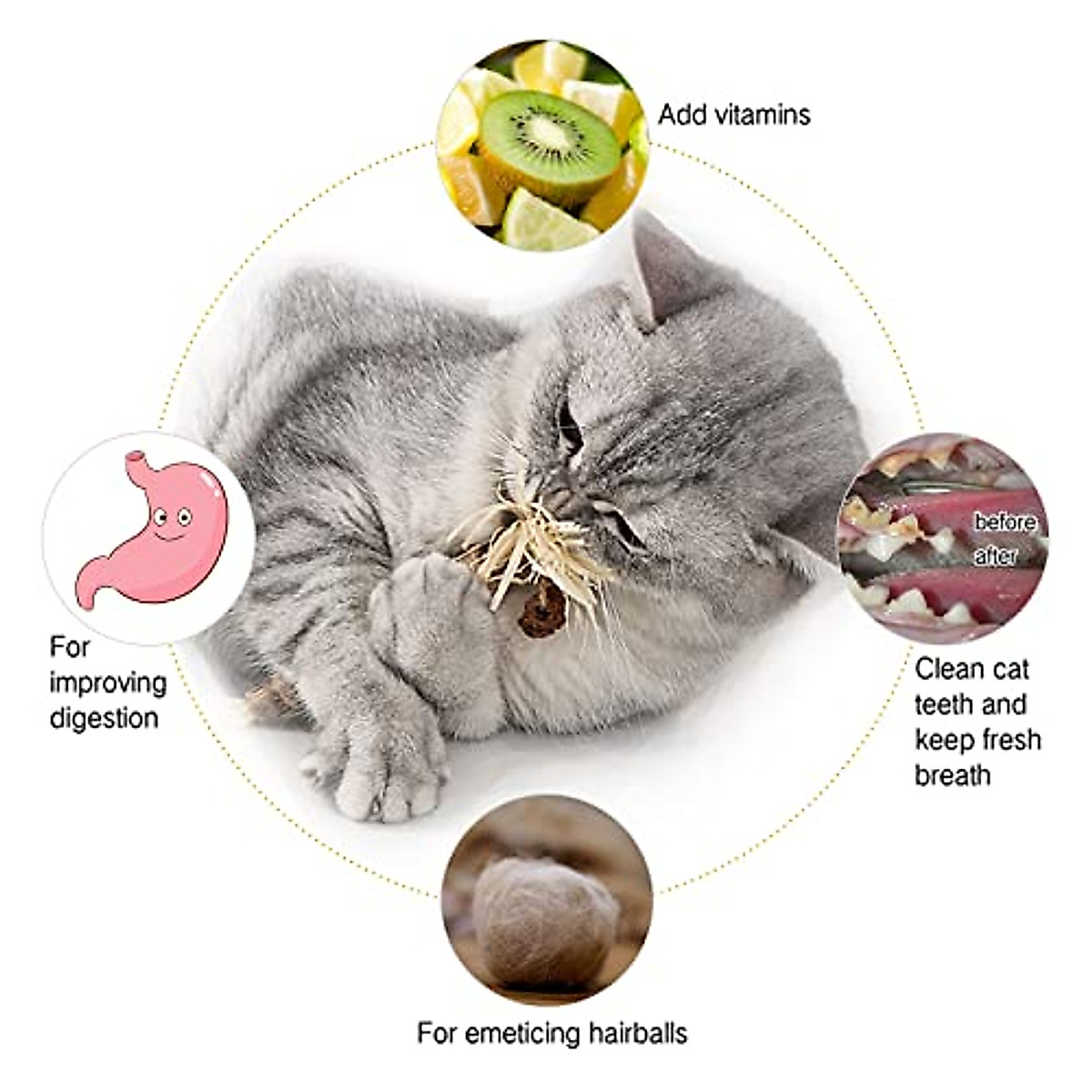 Gochanmon Cat Toys-3Pcs Natural Silvervine Sticks-Catnip Cat Chew Toys for Kitten Teeth Cleaning-Matatabi Cat Treat Toy-Edible Kitty Toys for Cats Lick (3Psc)