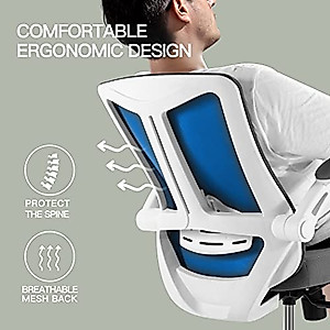 Eognyzie Home Office Desk Chairs with Ergonomic Adjustable Back Support, Mesh Computer Gaming Chair with Adjustable Ergonomic Lumbar Support for Home Office Work