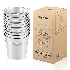 Toyvian Small Buckets for Party Favors Mini Metal Tinplate Buckets Snack Tin Pails Containers for French Fries Candies Planting Flowers 12 Pieces