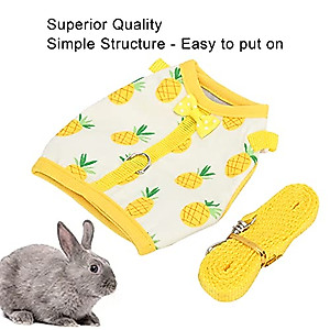 Luroze Guinea Pig Harness, Small Dog Harness Comfortable Cute Adjustable for Ferrets for Rabbits for Guinea Pigs for Chinchillas(S Number, Yellow Pineapple)