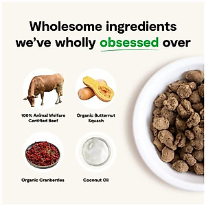 Open Farm Freeze Dried Raw Dog Food, Humanely Raised Meat Recipe with Non-GMO Superfoods and No Artificial Flavors or Preservatives, Grass Fed Beef Recipe Freeze Dried - 3.5oz