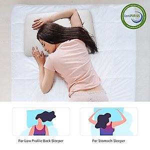 DLIGHT BD Slim 3.2" Stomach Sleeping Memory Foam Pillow-Thin, Flat, Soft Yet Supportative for Belly, Back& Stomach Sleepers
