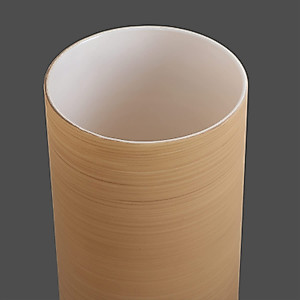 Eumyviv Frosted Glass Lamp Shade, 2pcs Cylinder Lampshade Cover Replacement with 1-5/8-Inch Opening for Chandelier Pendant Lighting Fixture A00079