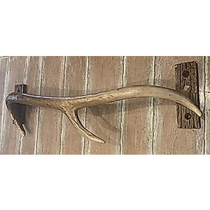 DeLeon Rustic Heavy Duty Antler Wall Mounted Towel Bar / Rack - 22 1/2inch One Piece Construction Varied 22 1/2inch (L) x 6 1/2inch (T) x 4inch (D)