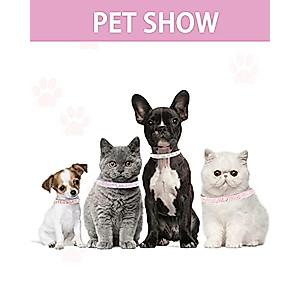 Solmoony Breakaway Cat Collars with Bell,Adjustable Safe Kitten Collar,Cat Collars for Girl Cats with Rhinestone Soft Velvet (Pink)