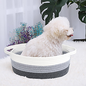 ABenkle Small Basket, 12"x 8" x 5" Cute Small Woven Basket, Rope Room Shelf Storage Basket, Cat Dog Toys Basket Chest Box, Decorative Empty Gift Basket with Handles - White & Grey & Dark Grey