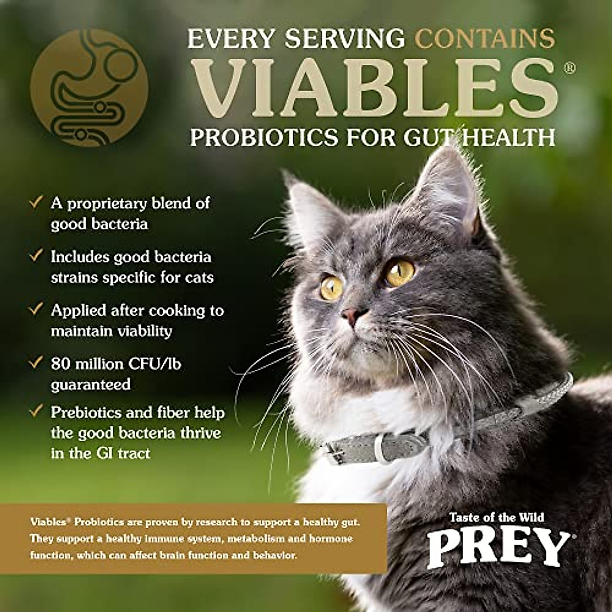 Taste of the Wild Prey Real Meat High Protein Turkey Limited Ingredient Dry Cat Food Grain-Free Recipe Made with Real Cage-Free Turkey, and Includes Probiotics for All Life Stages 6lb