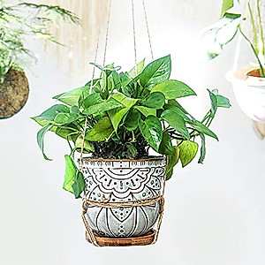 G EPGardening 6 Inch Ceramic Succulent Planter Pot with Drainage Hole and Saucer for Plants Indoor Round Orchid Flower Plant Pot Set of 2 Off White