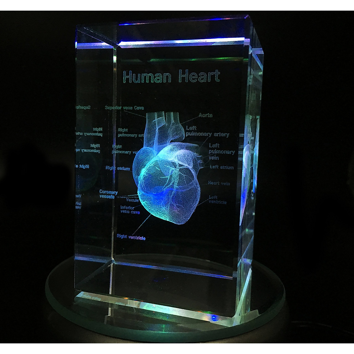 3D Human Heart Anatomical Model Paperweight(Laser Etched) in Crystal Glass Cube Science Gift (No Included LED Base)(3.1x2x2 inch)