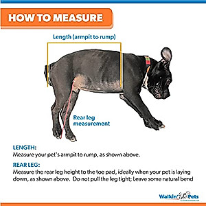 Walkin’ Wheels Custom Dog Wheelchair for Medium Dogs | Veterinarian Approved | Dog Wheelchair for Back Legs | Choose from 3 Custom Colors: Blue, Pink, and Camo