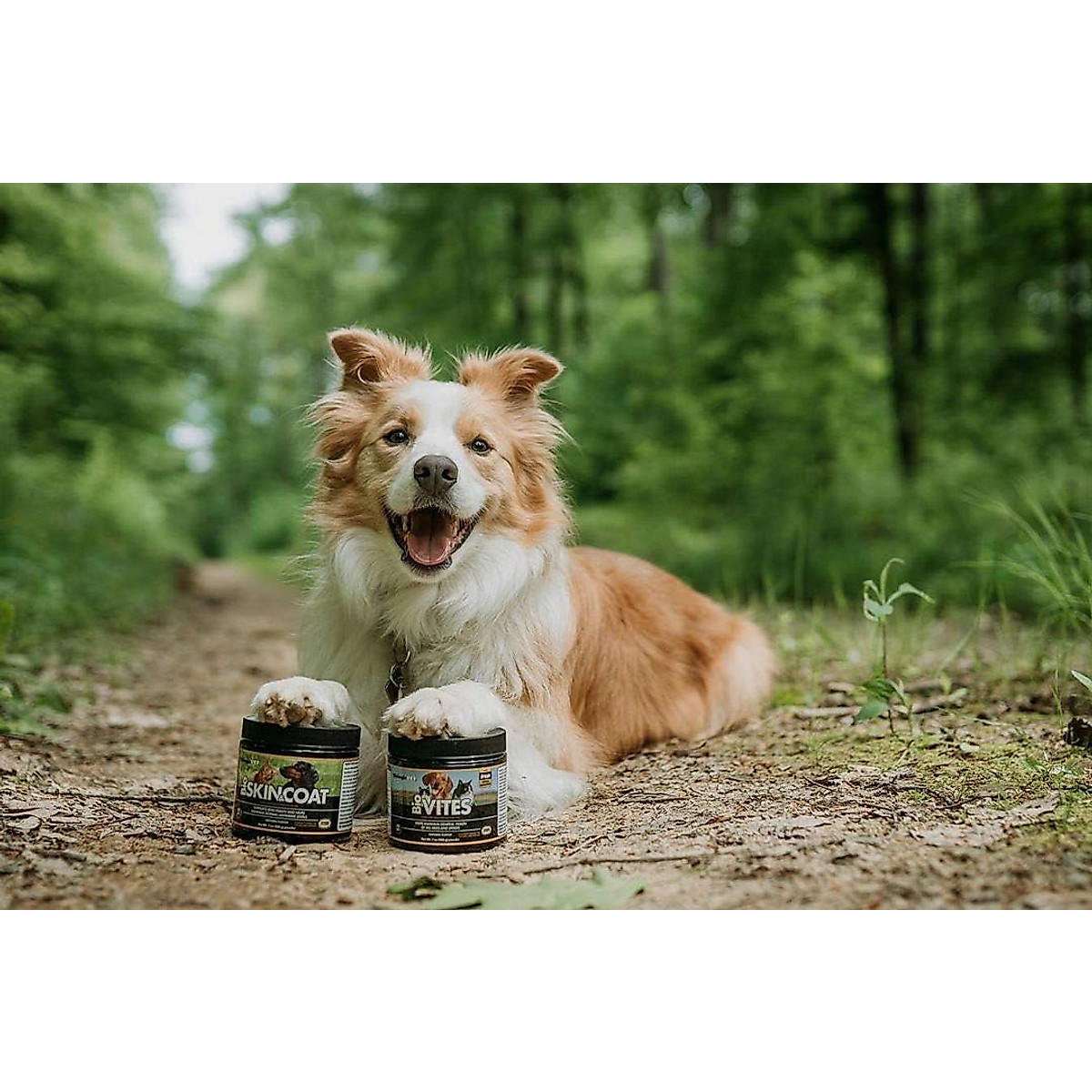 BiologicVET - BioVITES Multivitamin Powder for Cats & Dogs, Essential Vitamins, Minerals & Enzymes, Supports Your Pets Digestion and Immune System, 53-Day Supply for 30-lb. Animal, 14-oz. Powder