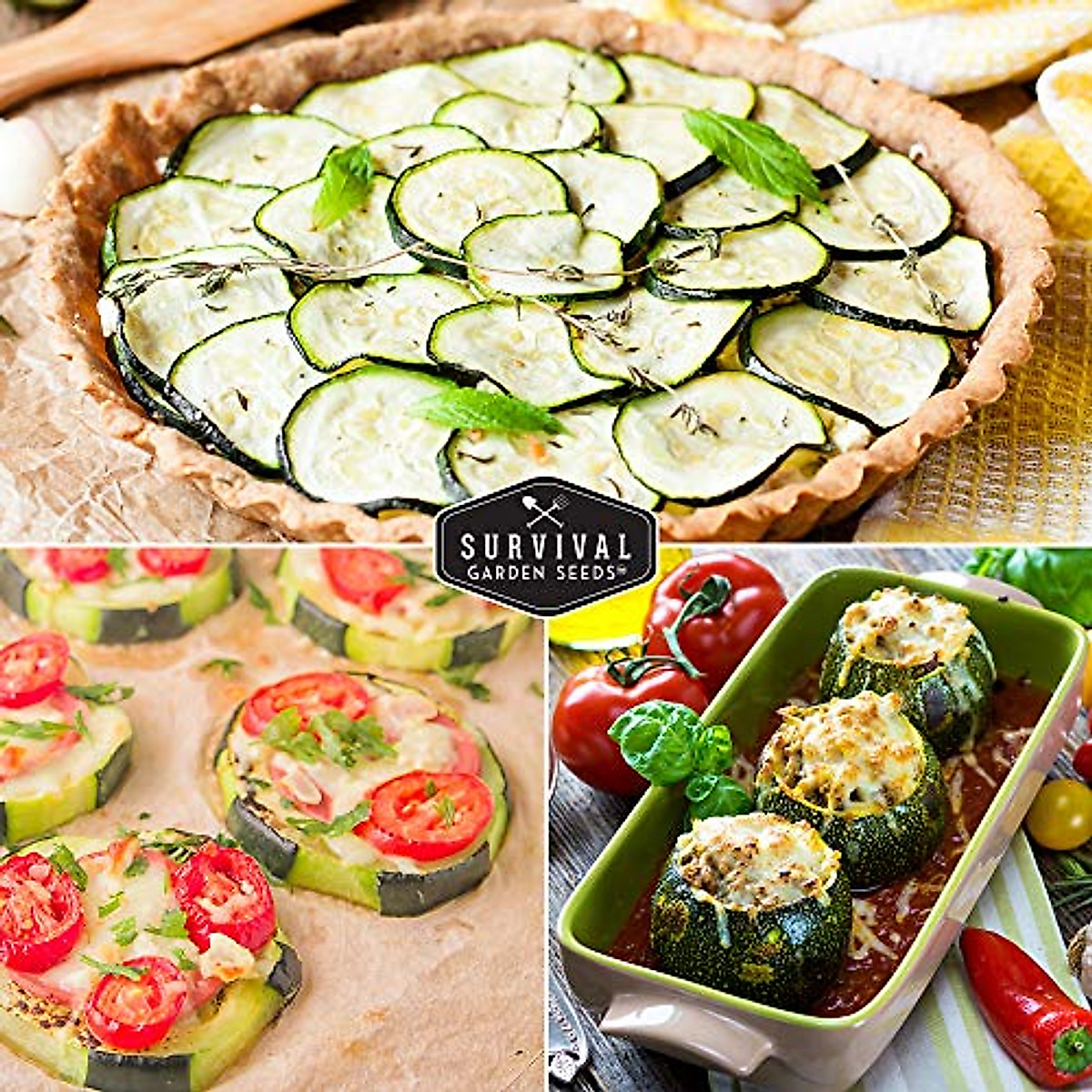 Survival Garden Seeds - Round Zucchini Seed for Planting - Pack with Instructions to Plant and Grow Small Green Zucchinis in Your Home Vegetable Garden - Non-GMO Heirloom Variety