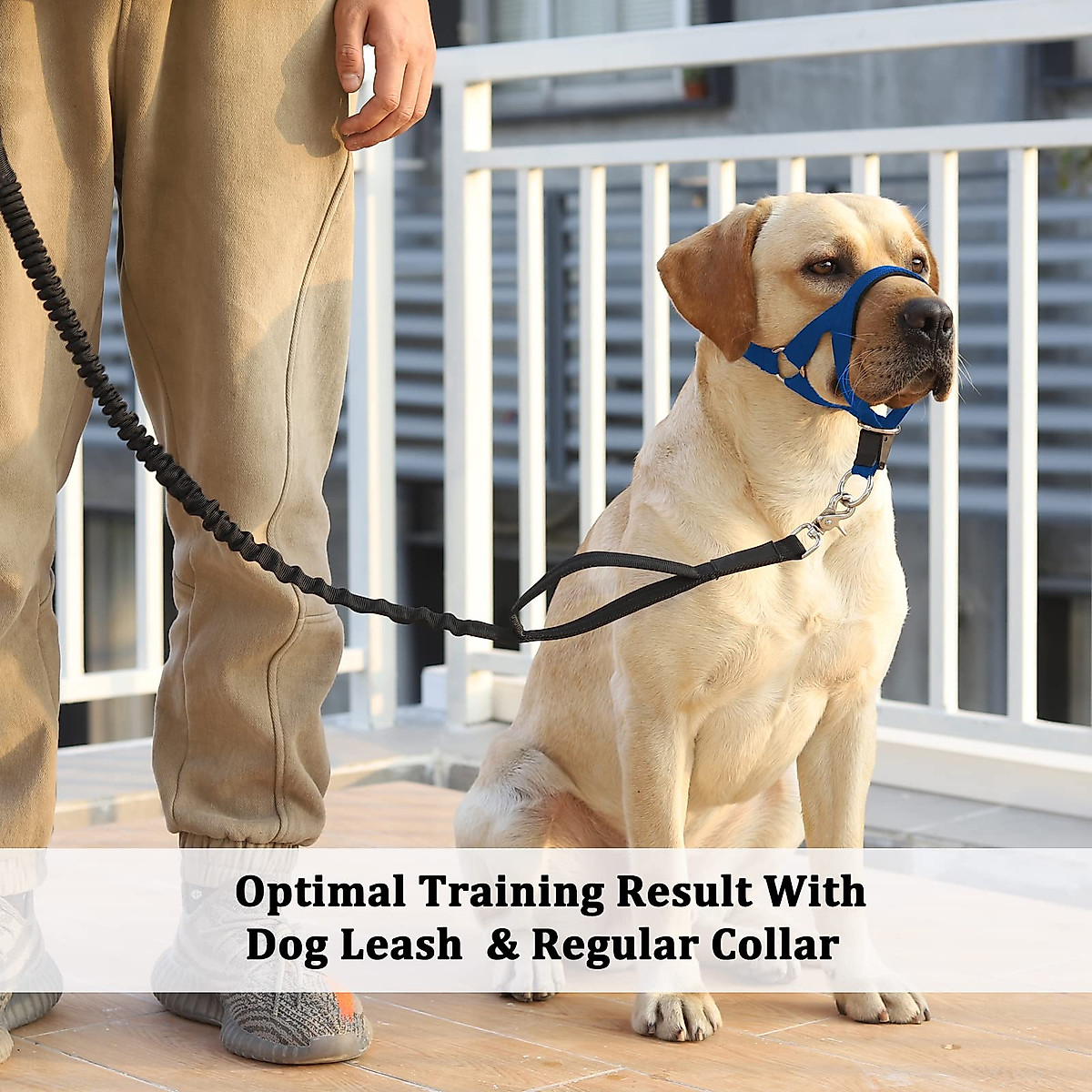 BARKLESS No-Pull Head Collar for Dogs Training & Walking Made Easy, Soft Dog Halter Harness with Expert Training Guide - Put an End to Pulling on The Leash (M, Blue)