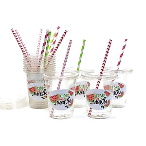 One in a Melon Cups - Watermelon 1st First Birthday Party Supplies and Favors