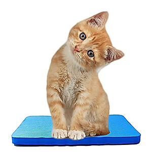 Gardzen 3 Pack Garden Kneeling Pad - for Gardening, Baby Bath, Yoga, Pilates, Exercise, 18"x11"x1", Blue