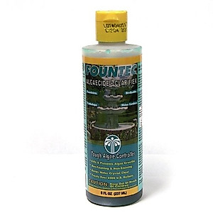 EasyCare FounTec Algaecide and Clarifier