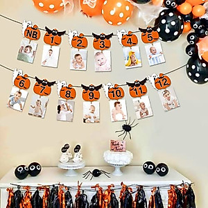 Halloween 12 Month Photo Banner with clip for Halloween First Birthday Decorations Halloween 1st Birthday Photo Banner for Boy/Girl The Spooky One Birthday Party Decorations