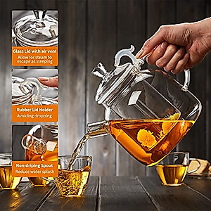 DOPUDO GRANDEUR Glass Teapot, 1850ml/ 62oz Glass Kettle with Removable Infuser, Borosilicate Glass Tea Pot for Stovetop, Loose Leaf and Blooming Tea Maker